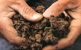 3 soil conditions to understand to avoid compaction by your tractor tyres